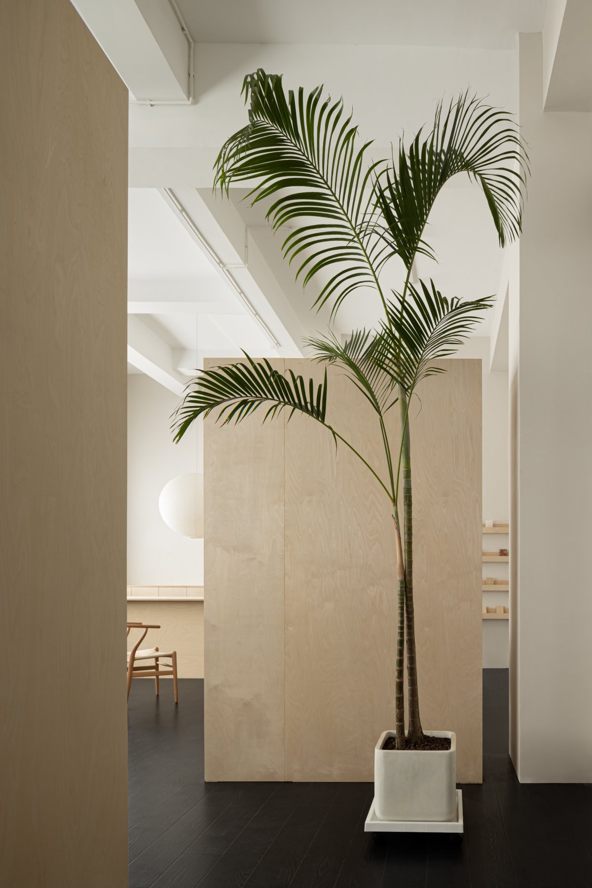 YINJISPACE - Dong Ji Design x Asen-s-Studio